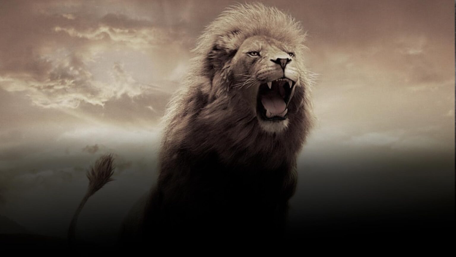 Descubre el fascinante significado detrás de Aslan - iglesiasymisas.com.mx