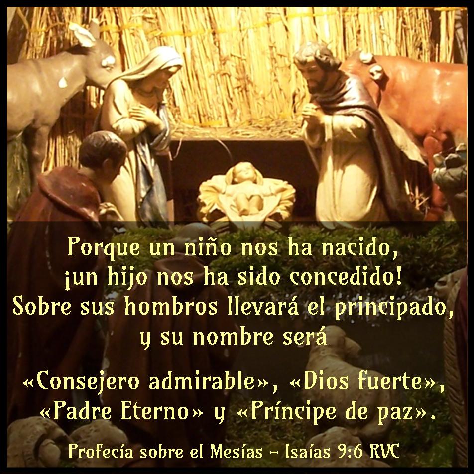 Versículos bíblicos del nacimiento de Jesús: Descubre la historia ...